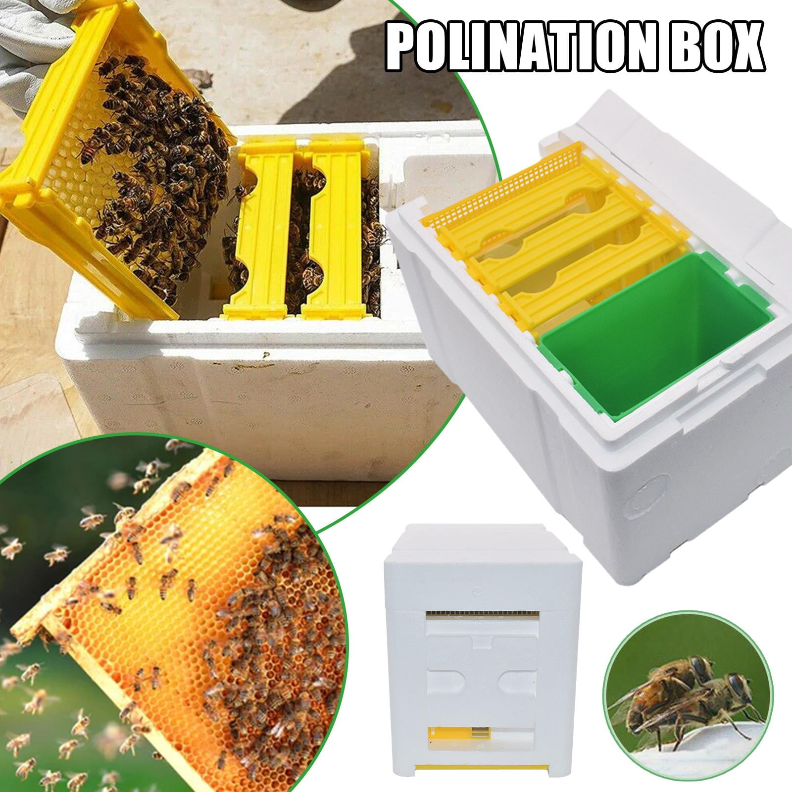 FurNest Queen Bee Breeding Box Bee Mating Box Foam Beehive Breeding ...