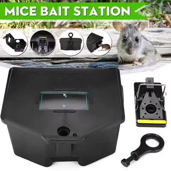 Rat Bait Boxes