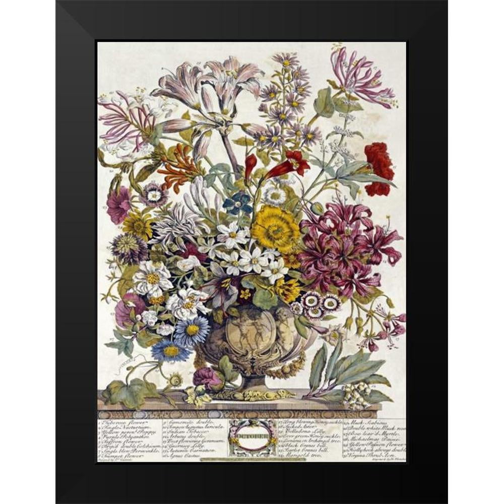 Furber, Robert 19x24 Black Modern Framed Museum Art Print Titled ...