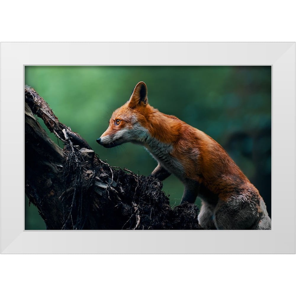 Furch, Lukas 18x13 White Modern Wood Framed Museum Art Print Titled ...