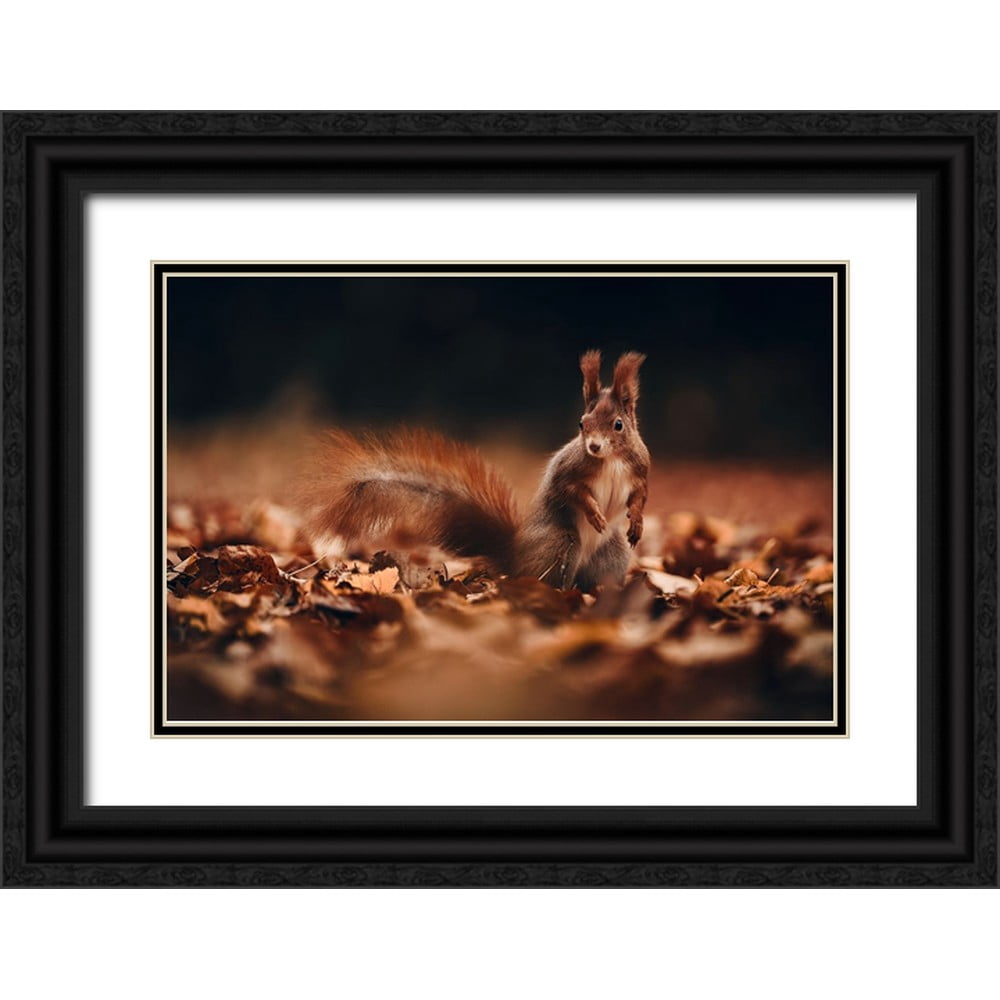 Furch, Lukas 24x17 Black Ornate Wood Framed with Double Matting Museum ...