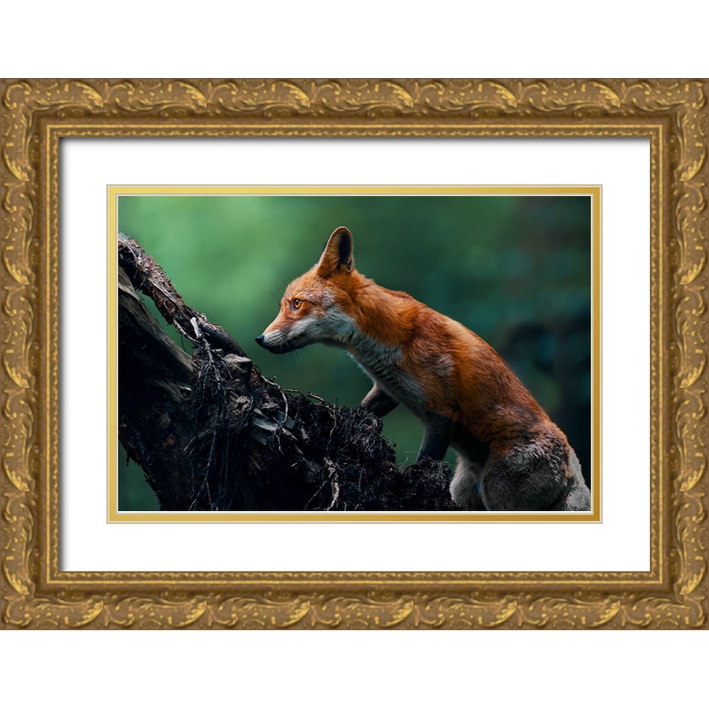 Furch, Lukas 24x17 Gold Ornate Wood Framed with Double Matting Museum ...