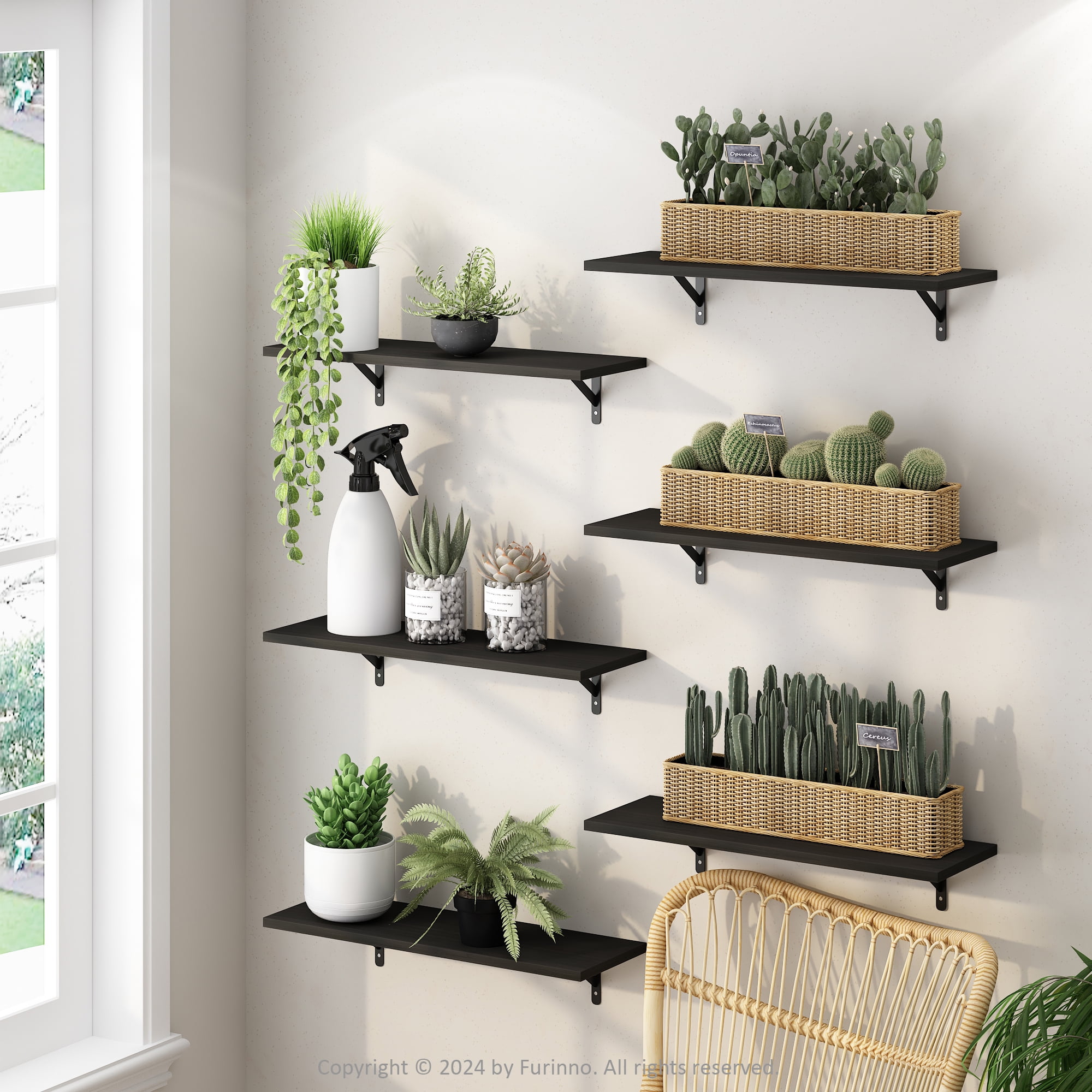 Furinno Rossi 23-Inch Wall Mounted Floating Display Shelves, Espresso ...