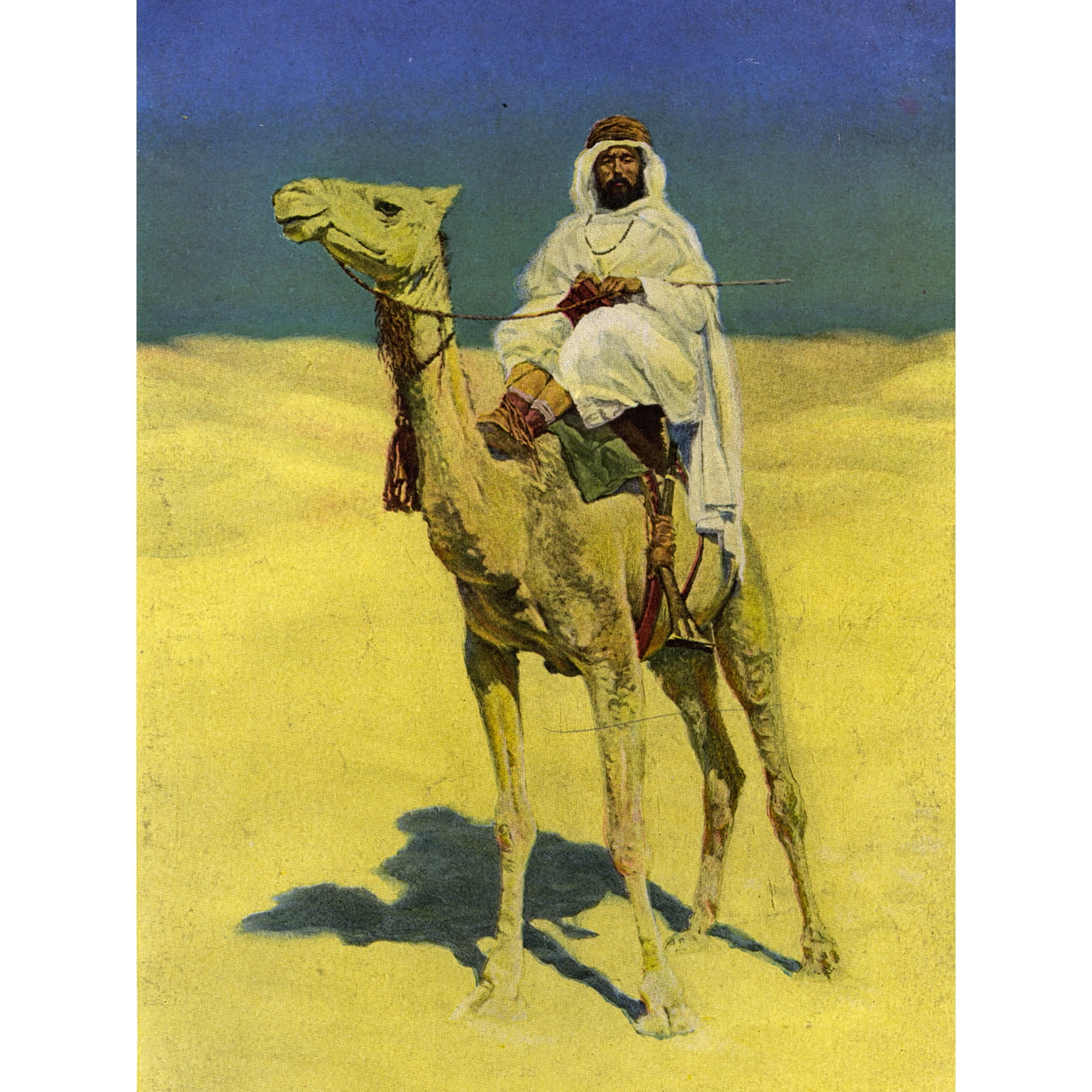 Furlong An Armed Brother Of The Sahara Camel Extra Large XL Wall Art ...