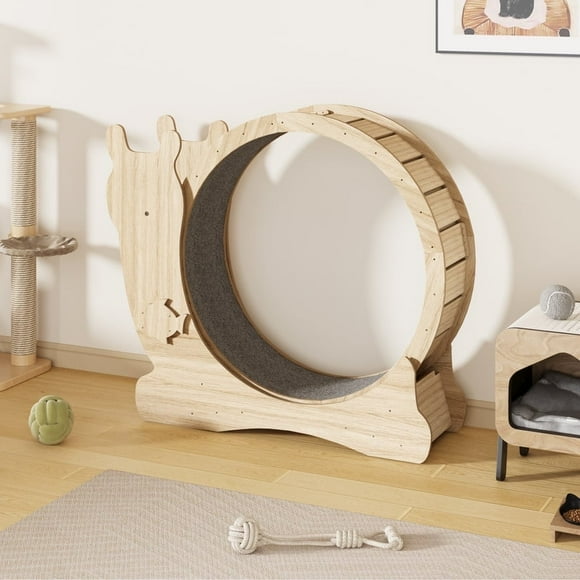 Cat Wheels in Cats - Walmart.com