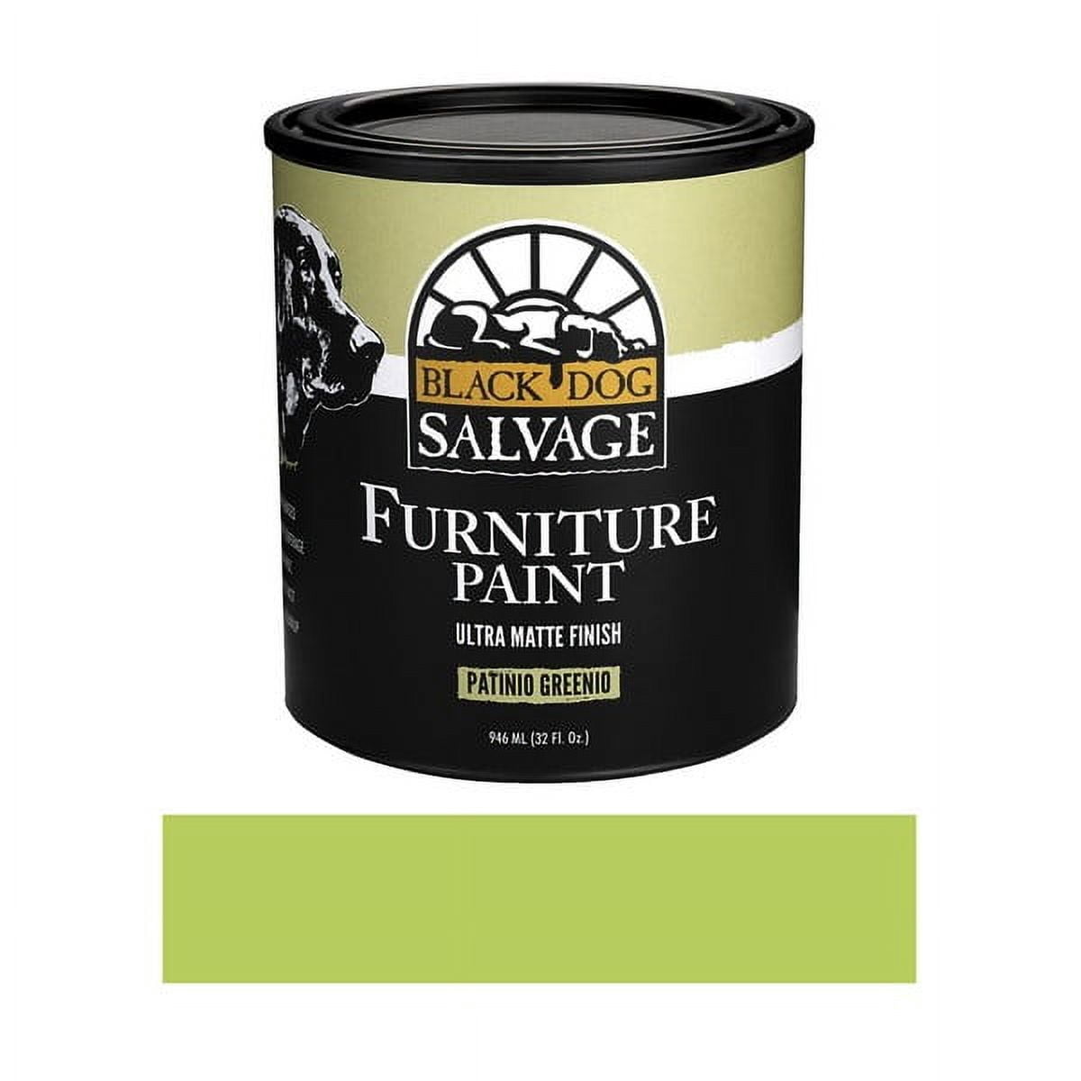 Furniture Paint, Lime Green "Patinio Greenio" Matte, Water Based, Low ...