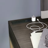 Furniture of America Bird Modern 42-inch Metal Computer Desk with USBs ...