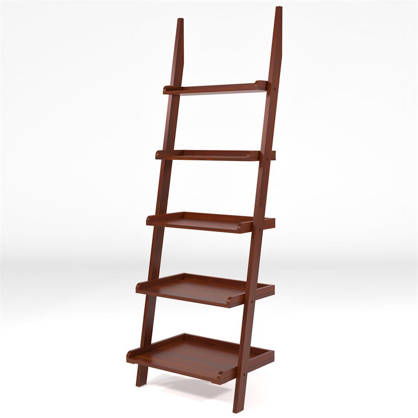 Furniture of America Dupre Transitional Wood 5-Shelf Ladder Bookcase in ...