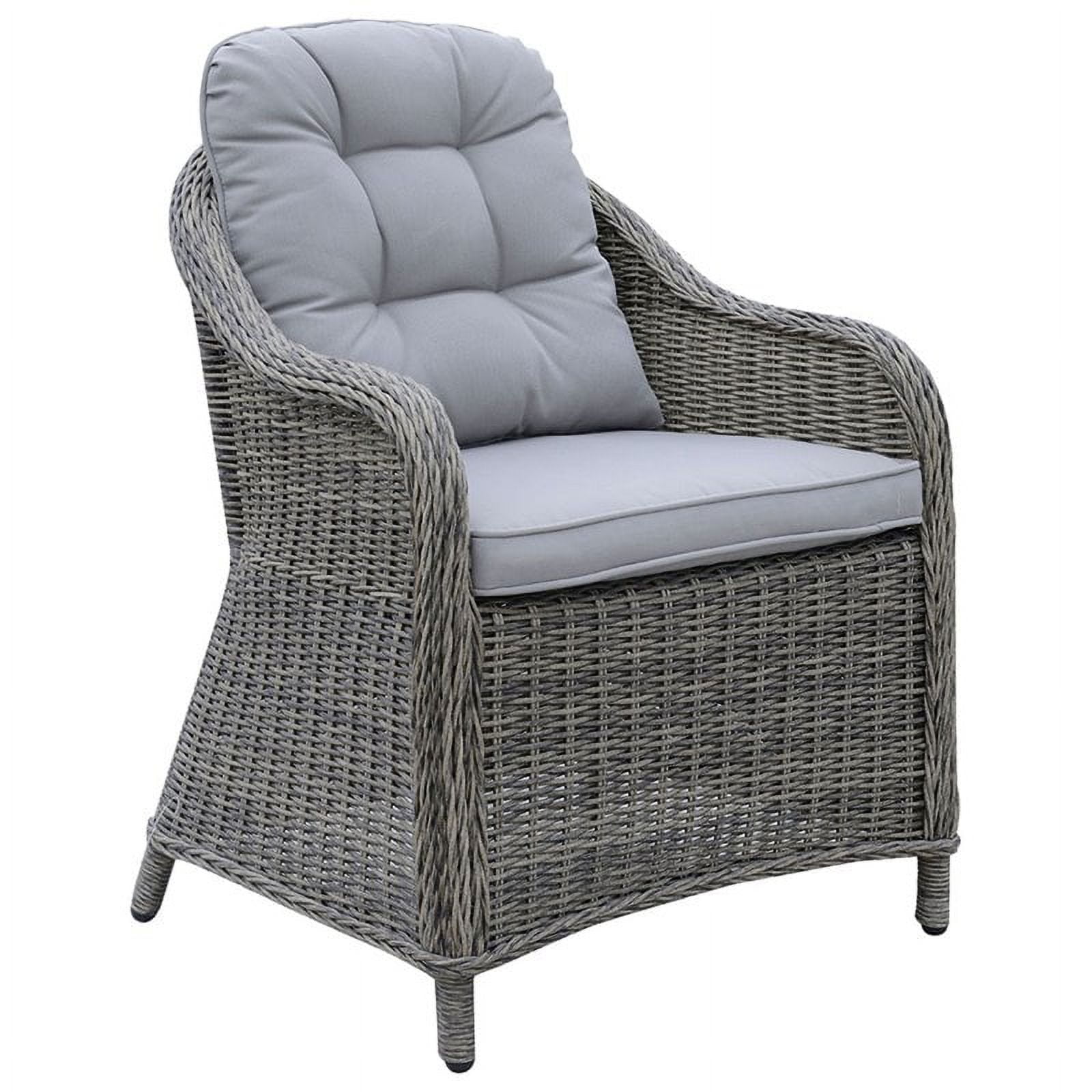 Furniture of America Kender Rattan Patio Dining Arm Chair in Gray (Set ...