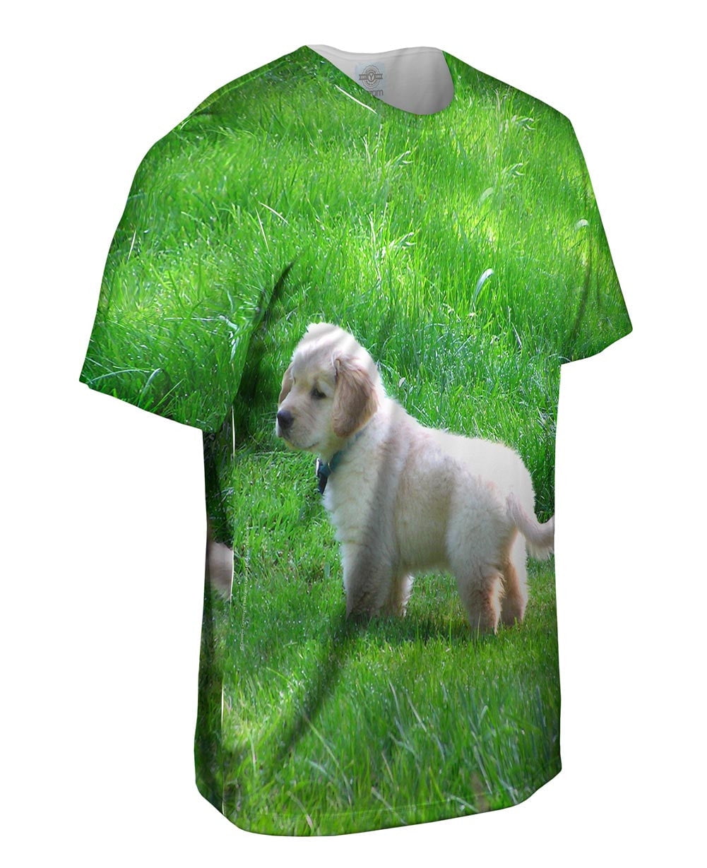 Furry Ball Golden Lab Mens T-Shirt All Over Print - Walmart.com