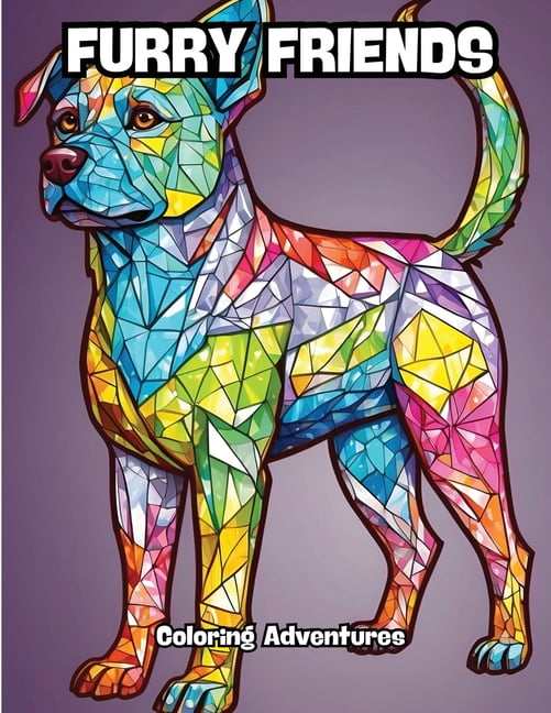 Furry Friends: Coloring Adventures (Paperback) - Walmart.com