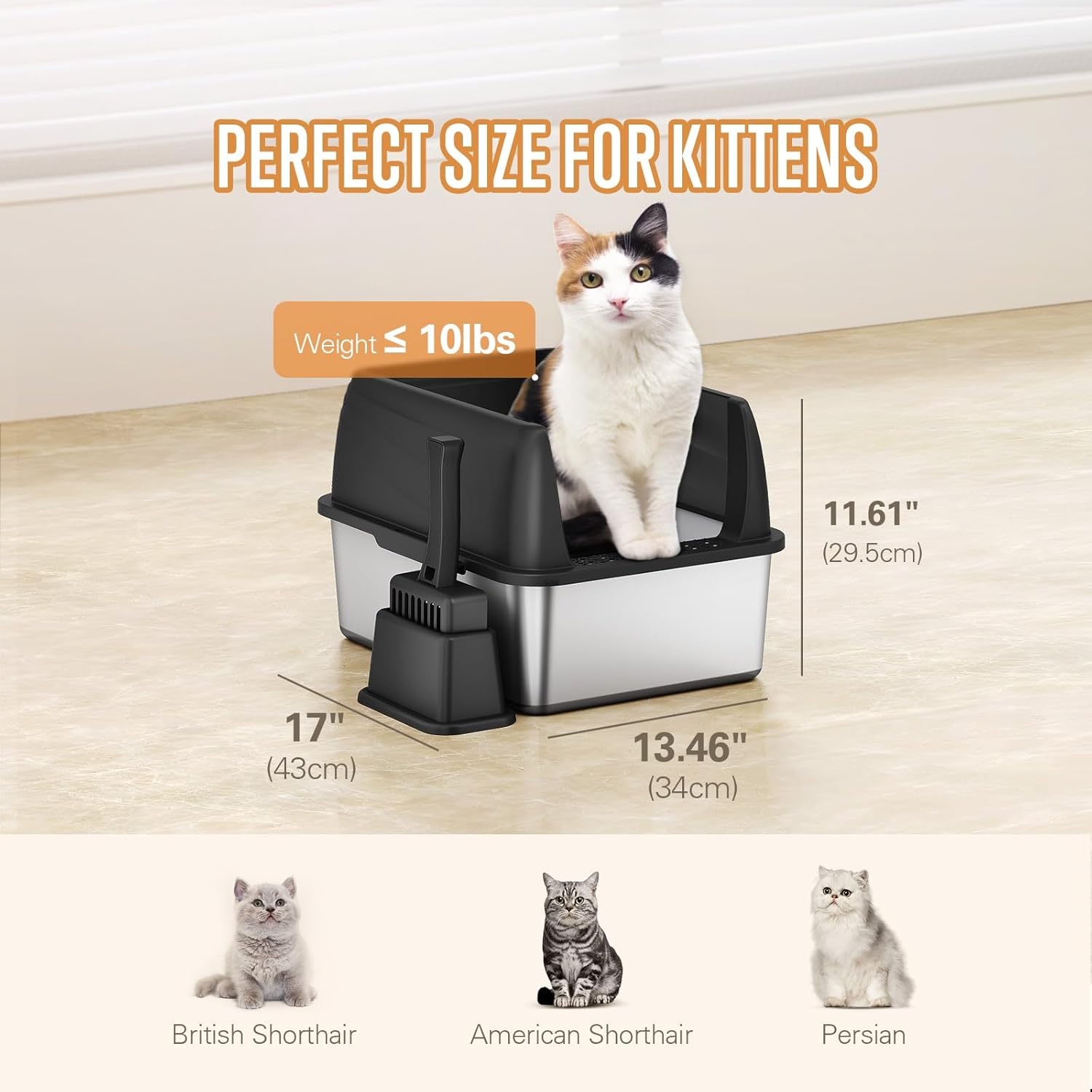 Furry friend Stainless Steel Litter Box for Kittens Kitty, Small Metal ...