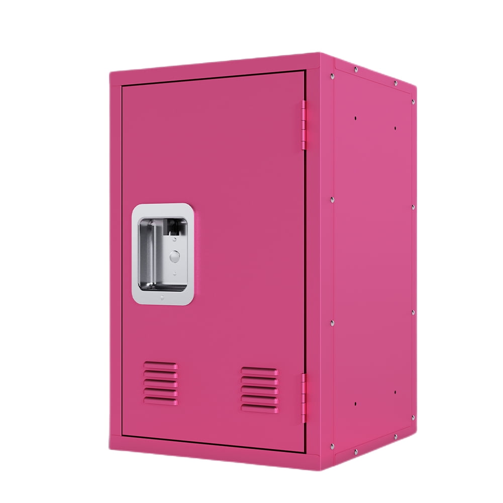Furvclv 24" H Metal Locker With 1 Door, Free Patchwork Vertical ...