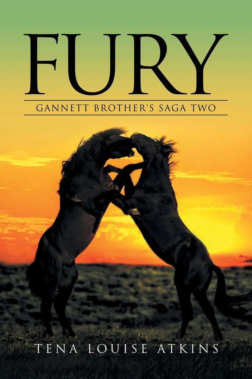 Fury: Gannett Brother's Saga Two, (Paperback) - Walmart.com