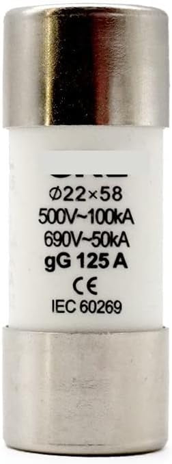 Fuse 10pcs AC 500V RO17 Fast Blow Ceramic Fuse Link RT18-125 22X58 gG ...