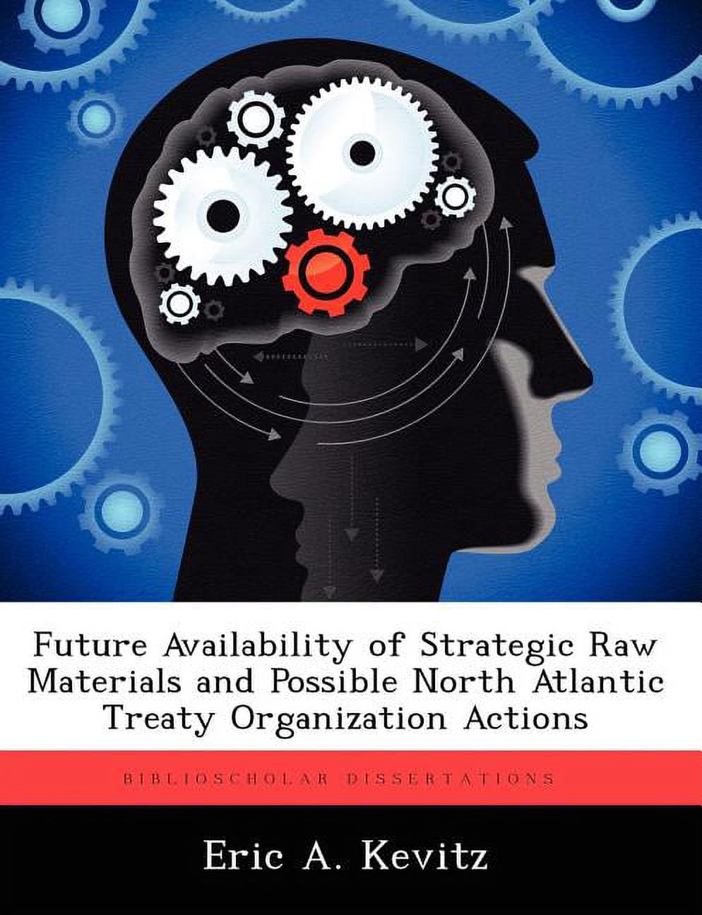 Future Availability of Strategic Raw Materials and Possible North ...