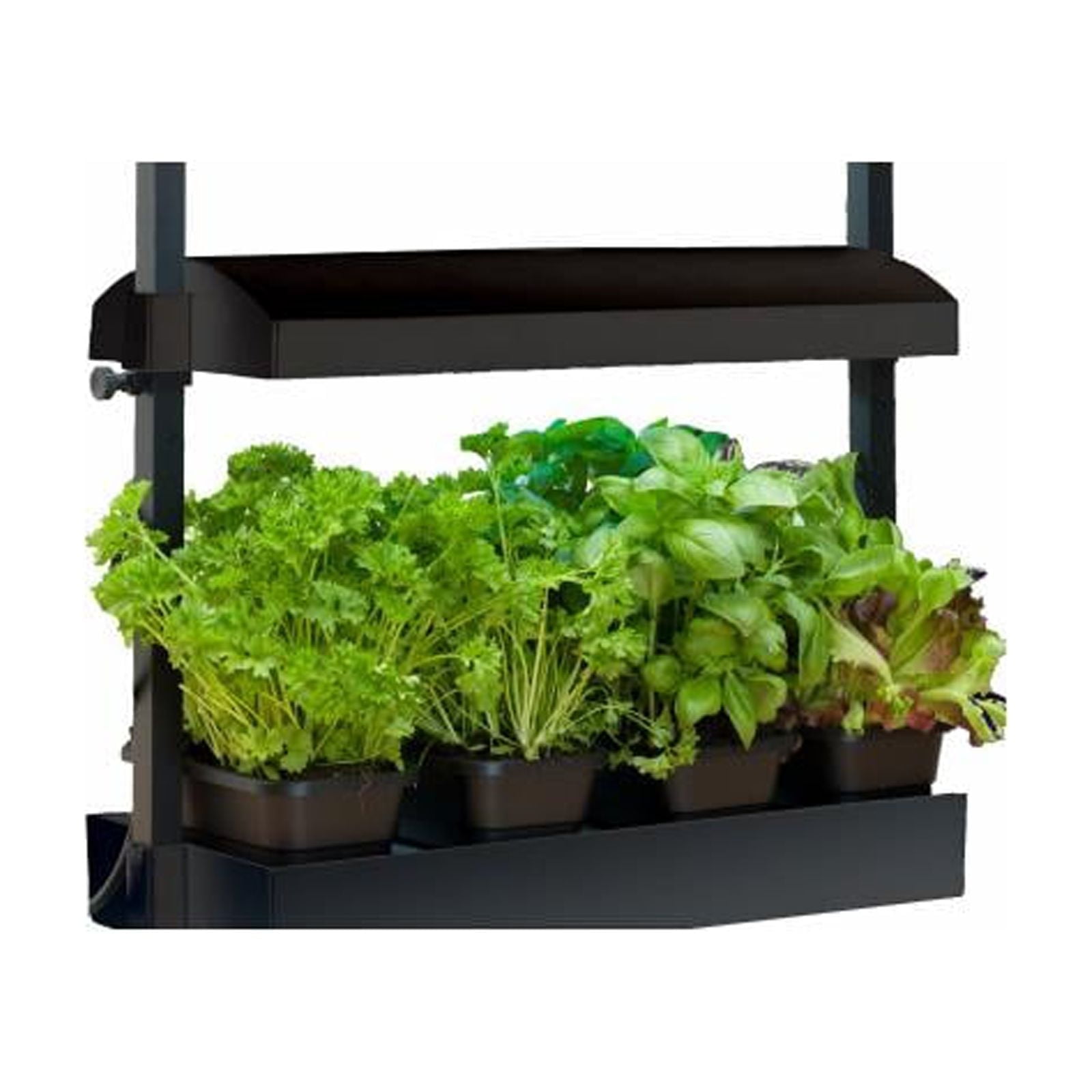Future Harvest Development, Sun Blaster Grow Light Garden, Black ...