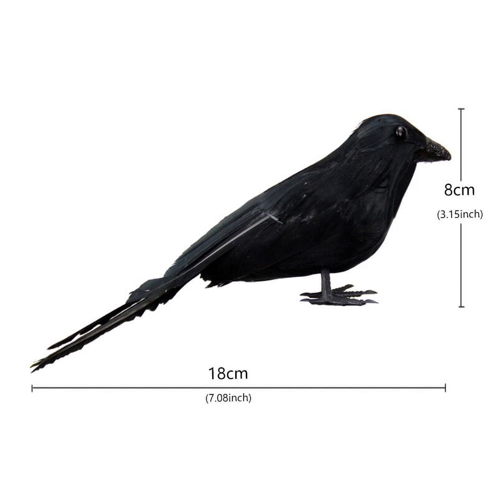 Scary Raven