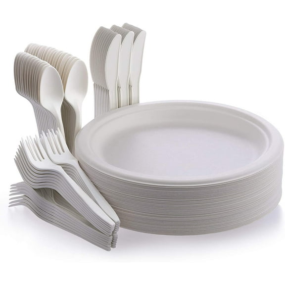 250 Piece Biodegradable Paper Plates Set (EXTRA LONG UTENSILS ...