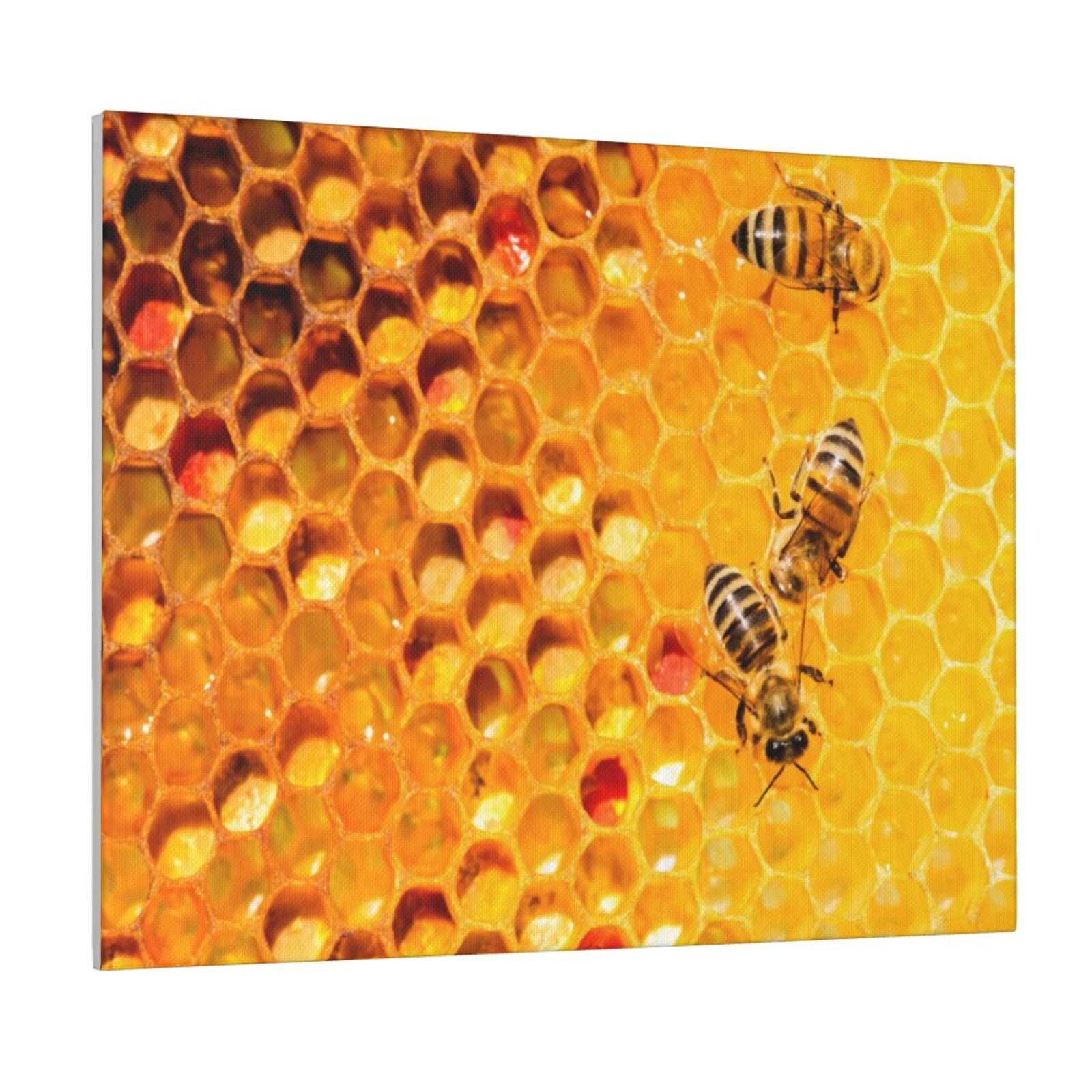 Fuzoiu Bees on Hive Honeycomb Print Canvas Wall Art for Bathrooms,Wall ...