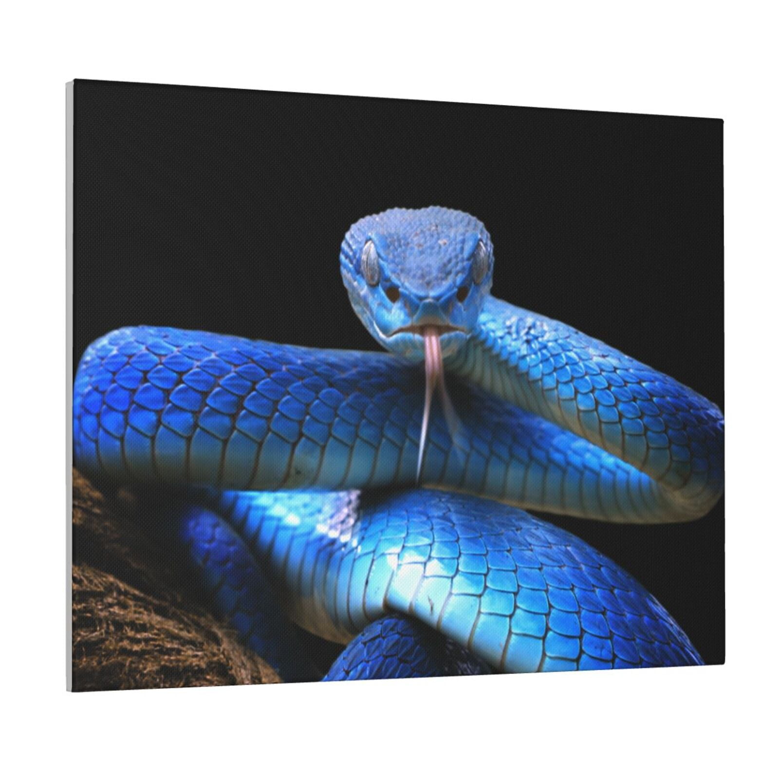 Fuzoiu Blue Viper Snake 2 Print Canvas Wall Art for Bathrooms,Wall ...