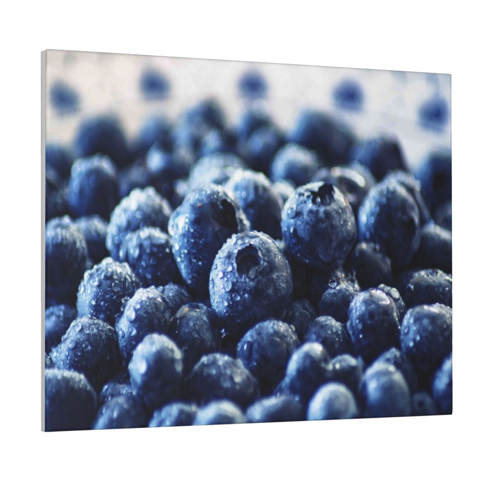 Fuzoiu Blueberry Print Canvas Wall Art for Bathrooms,Wall Decor for ...