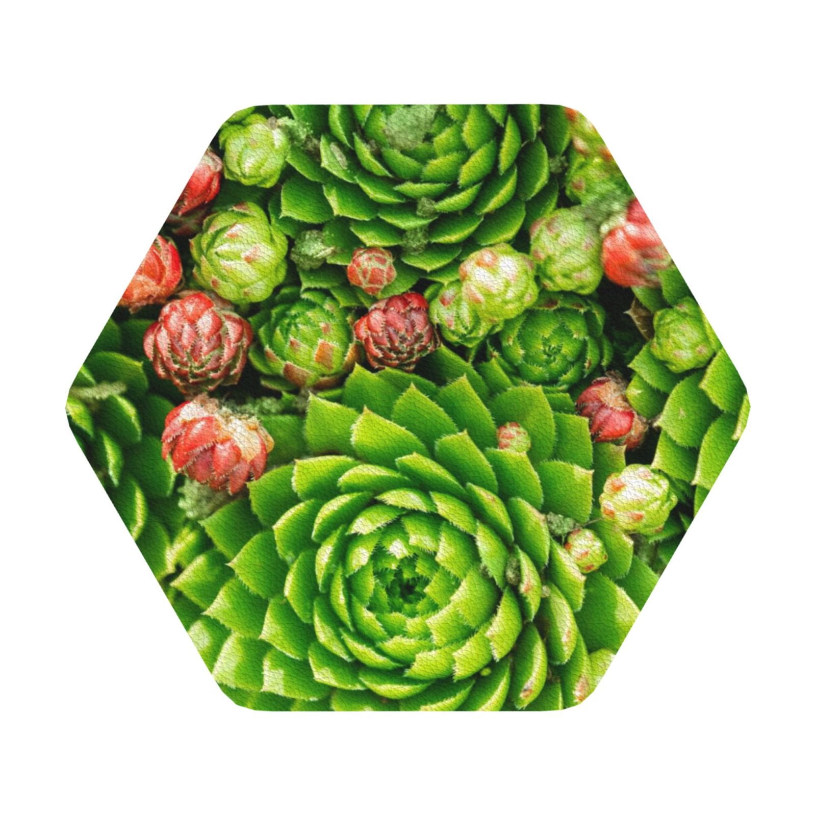 Fuzoiu Cactus And Succulents Print Leather Coasters Set,Drink Coasters ...