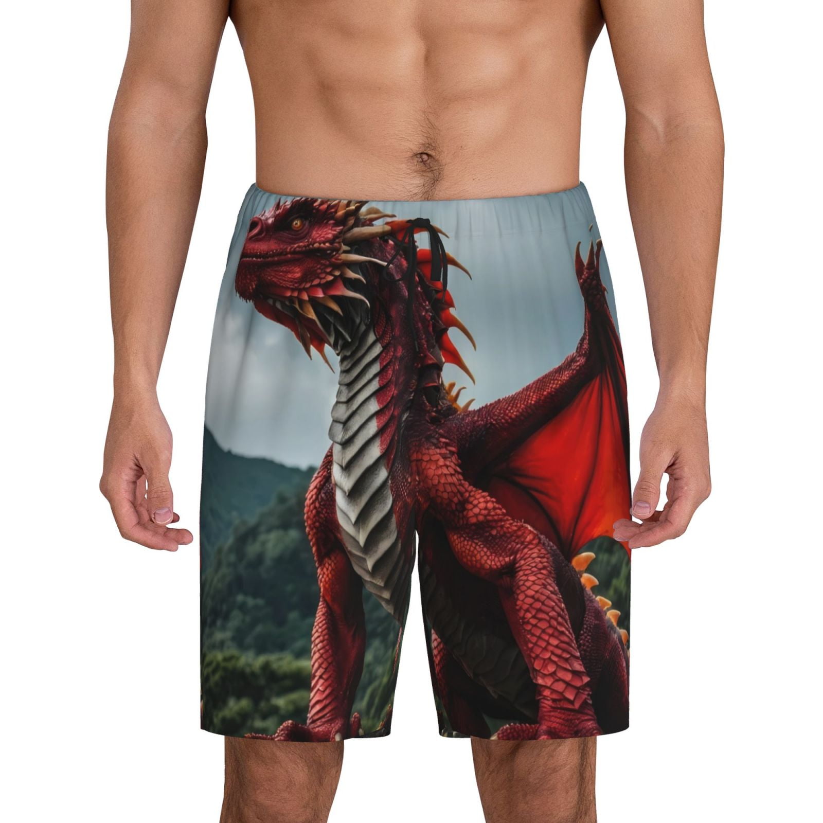 Fuzoiu Majestic Red Dragon Print Pajama Shorts for Men, Men's Pajama ...