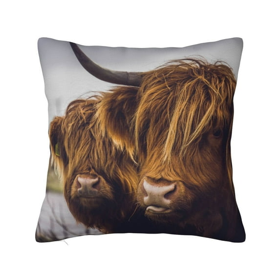 Fuzoiu Portrait Of Cow With Its Baby Cow Print Square Pillow Cover ...