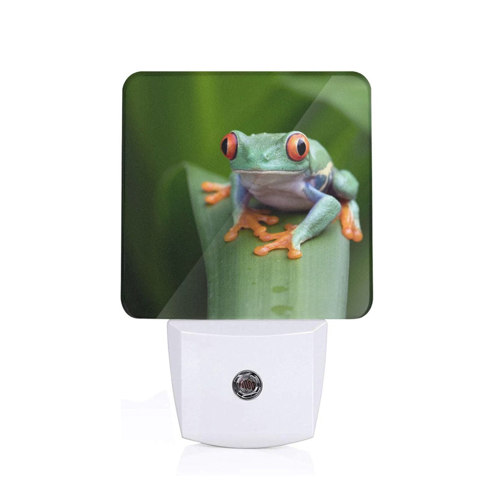 Fuzoiu Red-Eyed Tree Frog Print Dusk to Dawn LED Night Light with Light ...