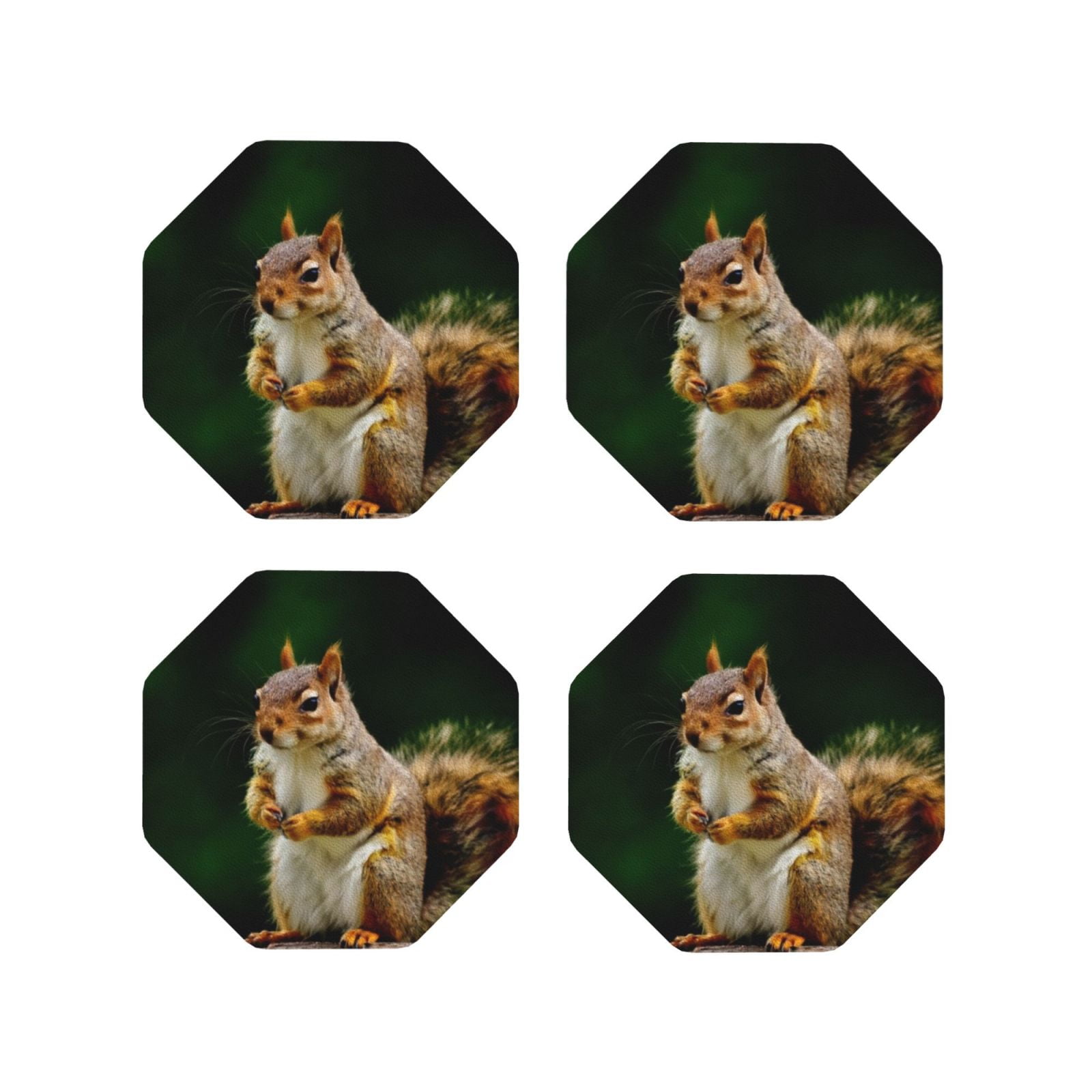 Fuzoiu Squirrels Eating Peanuts On The Tree Print Leather Coasters Set ...