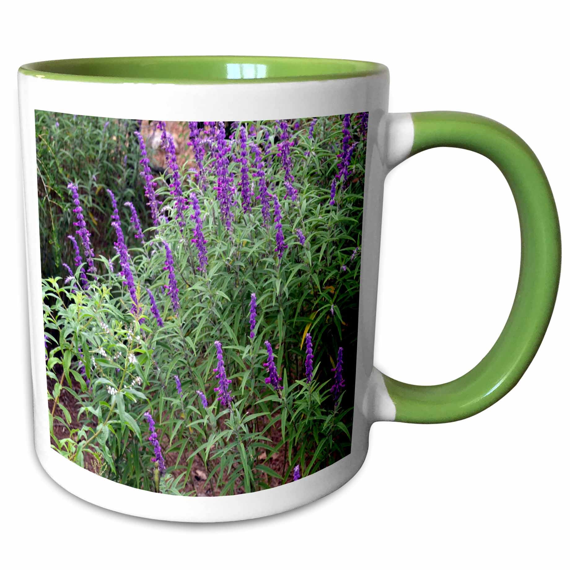3drose, Fuzzy Purple Flower, 15oz Two-tone Green Mug - Walmart.com