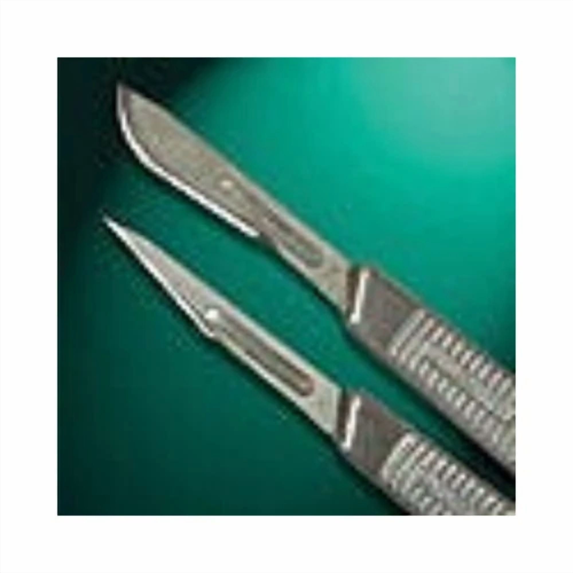 Fyna -Bard-Parker Disposable Sterile Scalpel W #15 Ss Blade 10/Box ...