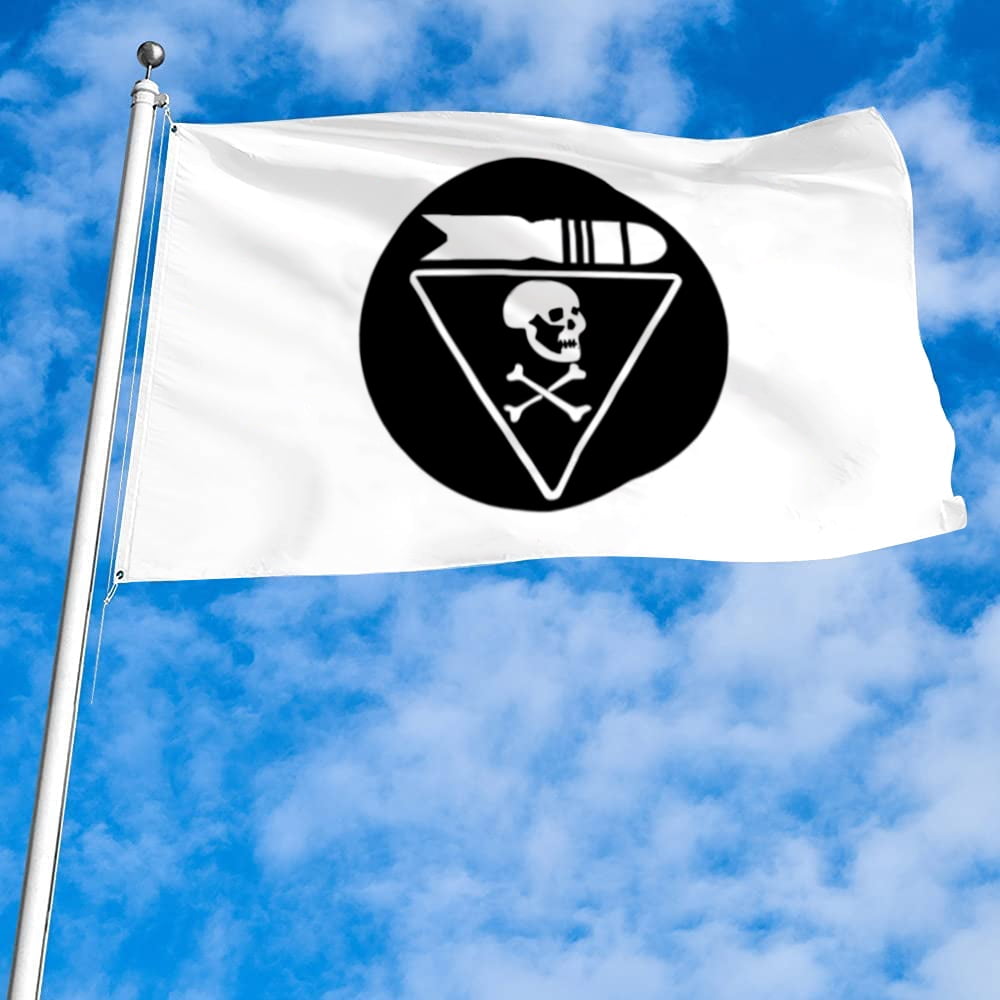 Fyon US Military Air Force 31st TES Heritage Patch Flag banner with ...