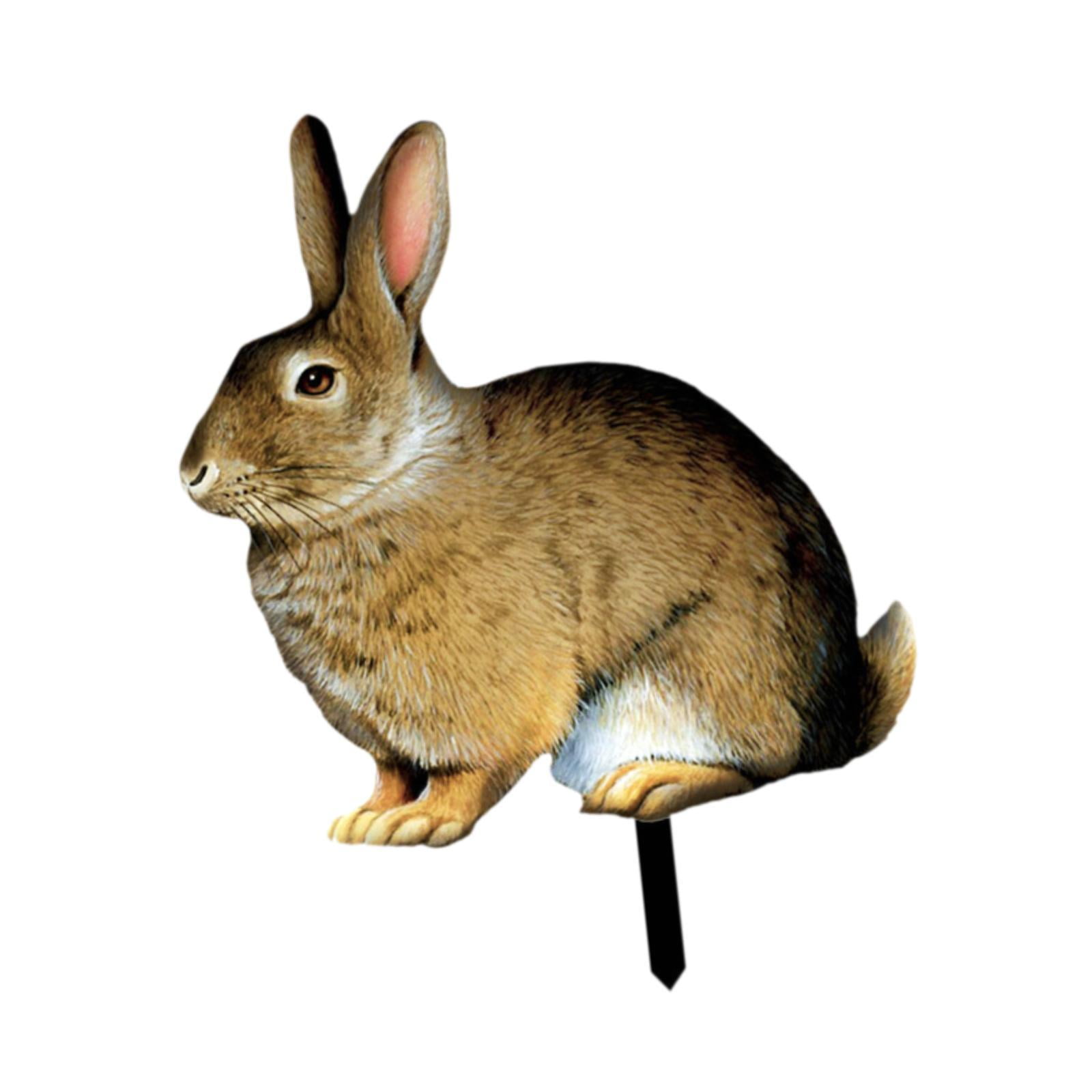 Fzaqwen Acrylic Garden Stake Yard Sign Funny Lightweight Portable ...