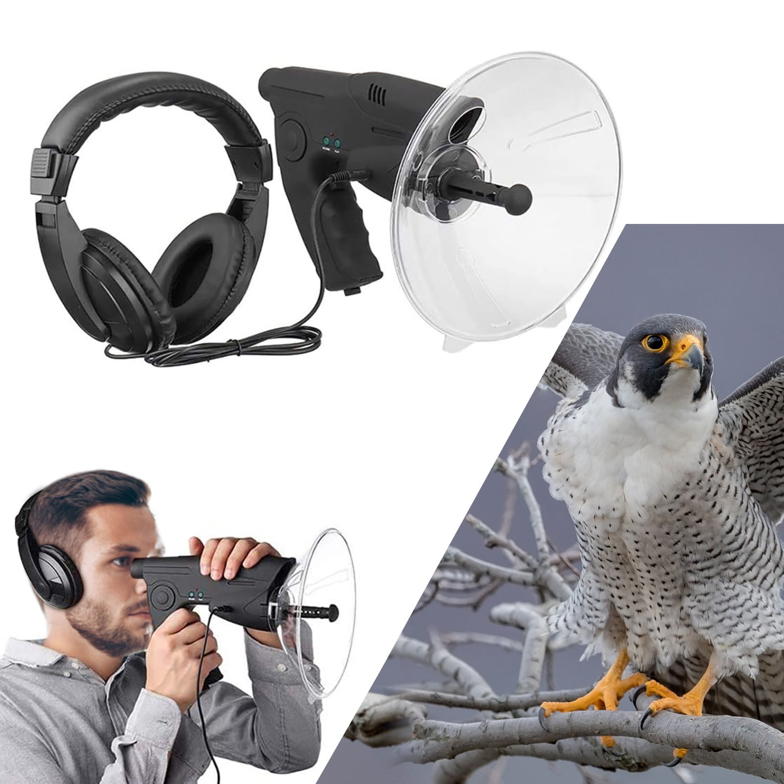Fzsteel 8x High-Definition Outdoor Birdwatching Scope with 300ft Sound ...