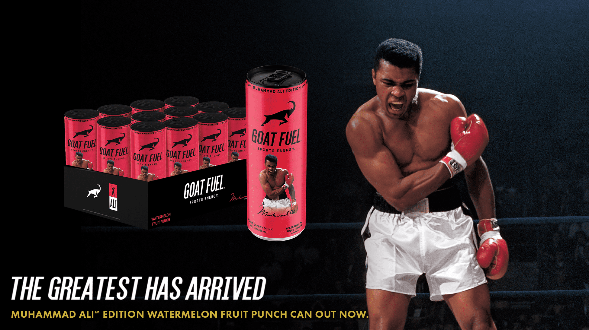 G.O.A.T Fuel - Zero Sugar Sports Energy Drink, Watermelon Fruit Punch ...