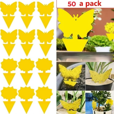 50 Pack Clear Window Fly Traps, Dual-Sided Sticky Strips, Odorless ...