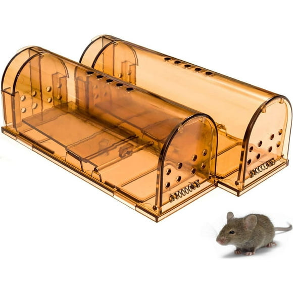 Best Mouse Trap