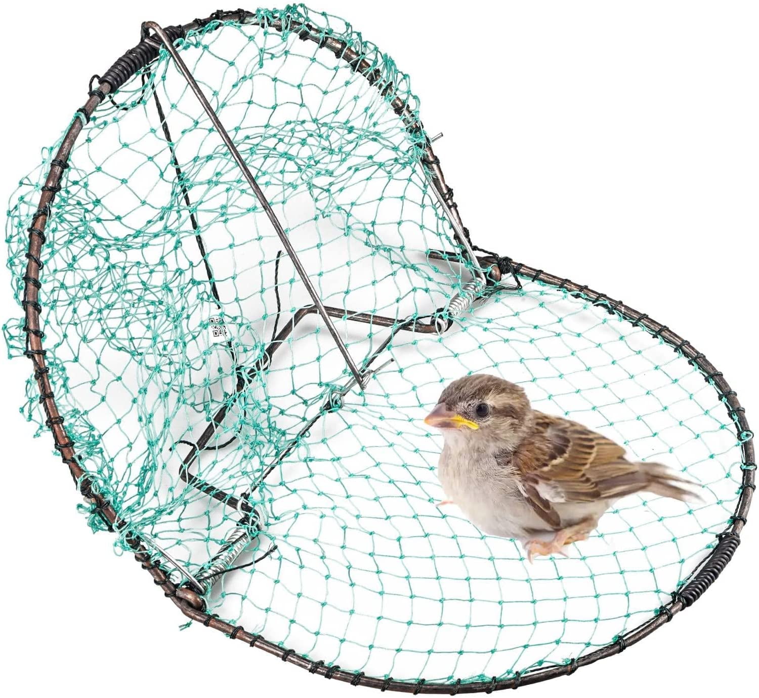 G·PEH Live Animal Trap Humane Bird Trap Cage for Pigeon Sparrow Small ...