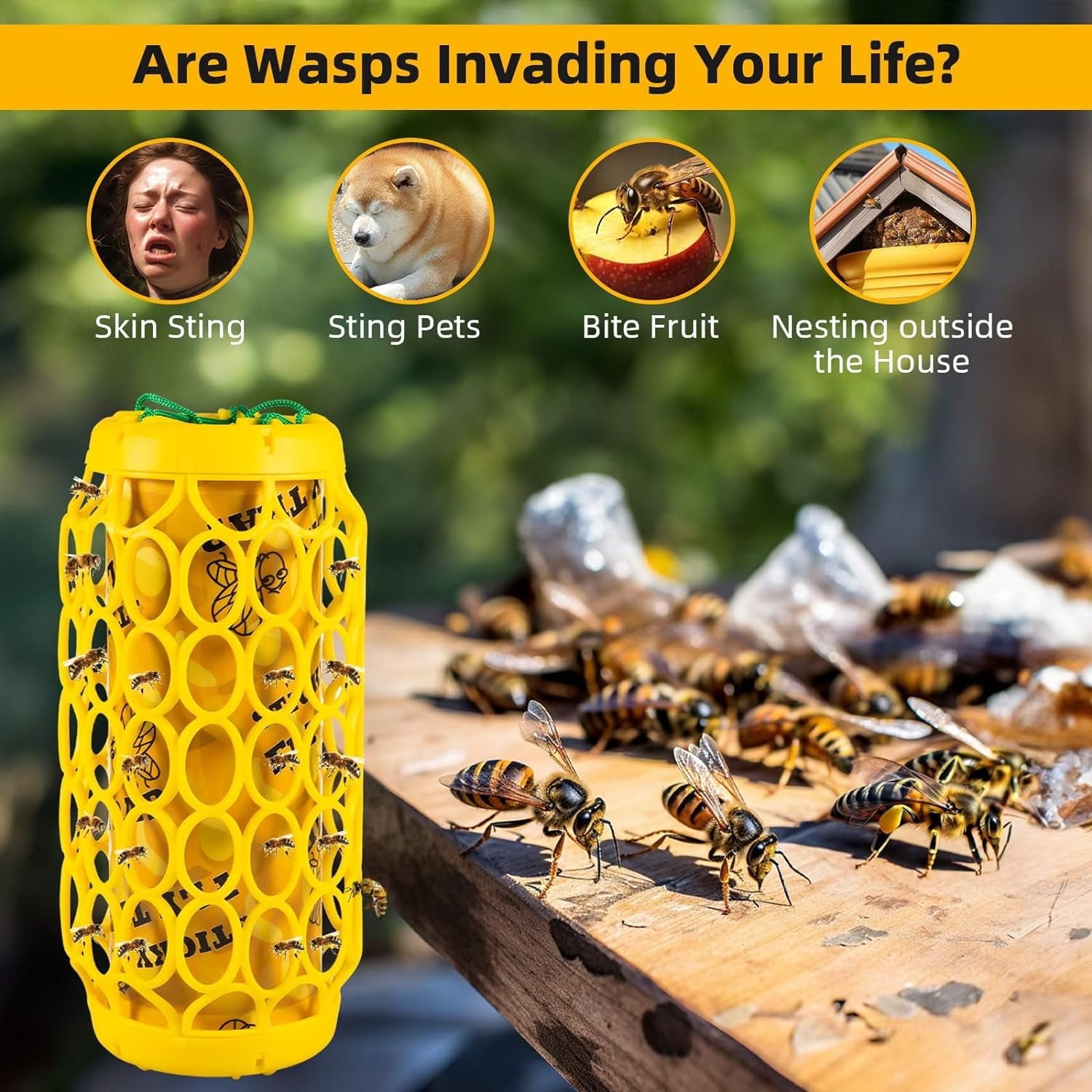 G · PEH Wasp Sticky Bug Board,2 PCS Wasp Trap,Carpenter Bee Trap,Wasp ...