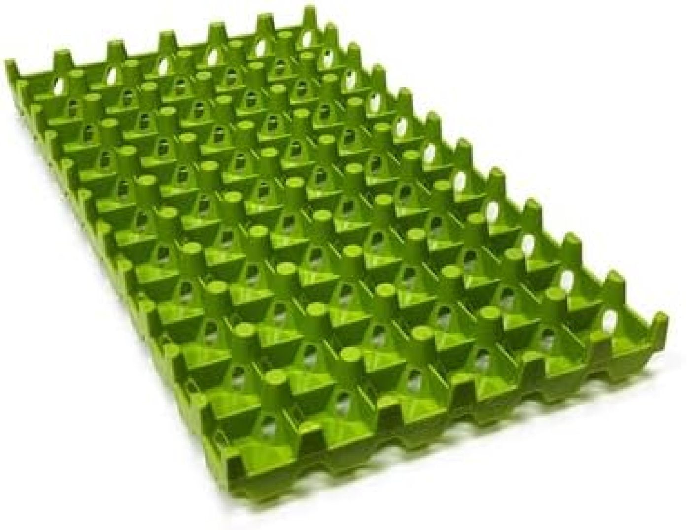 G.Q.F. Extra Large Egg Tray Duck/Turkey/XL Chicken Egg (1) - Walmart.com