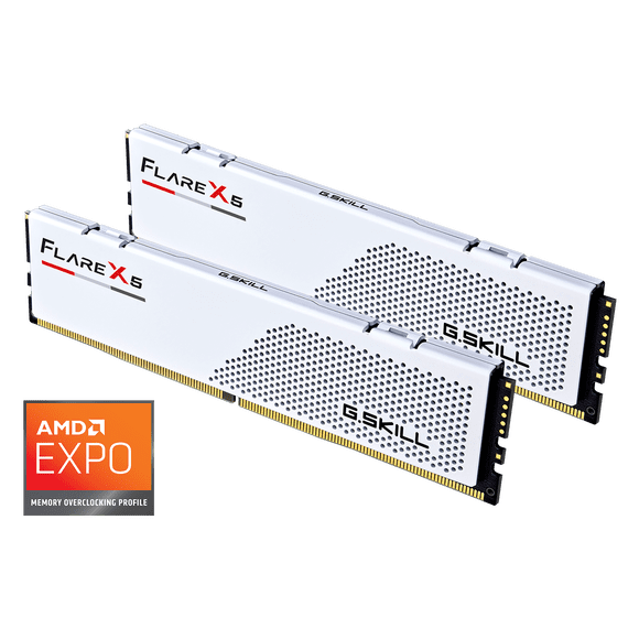 RAM Sticks