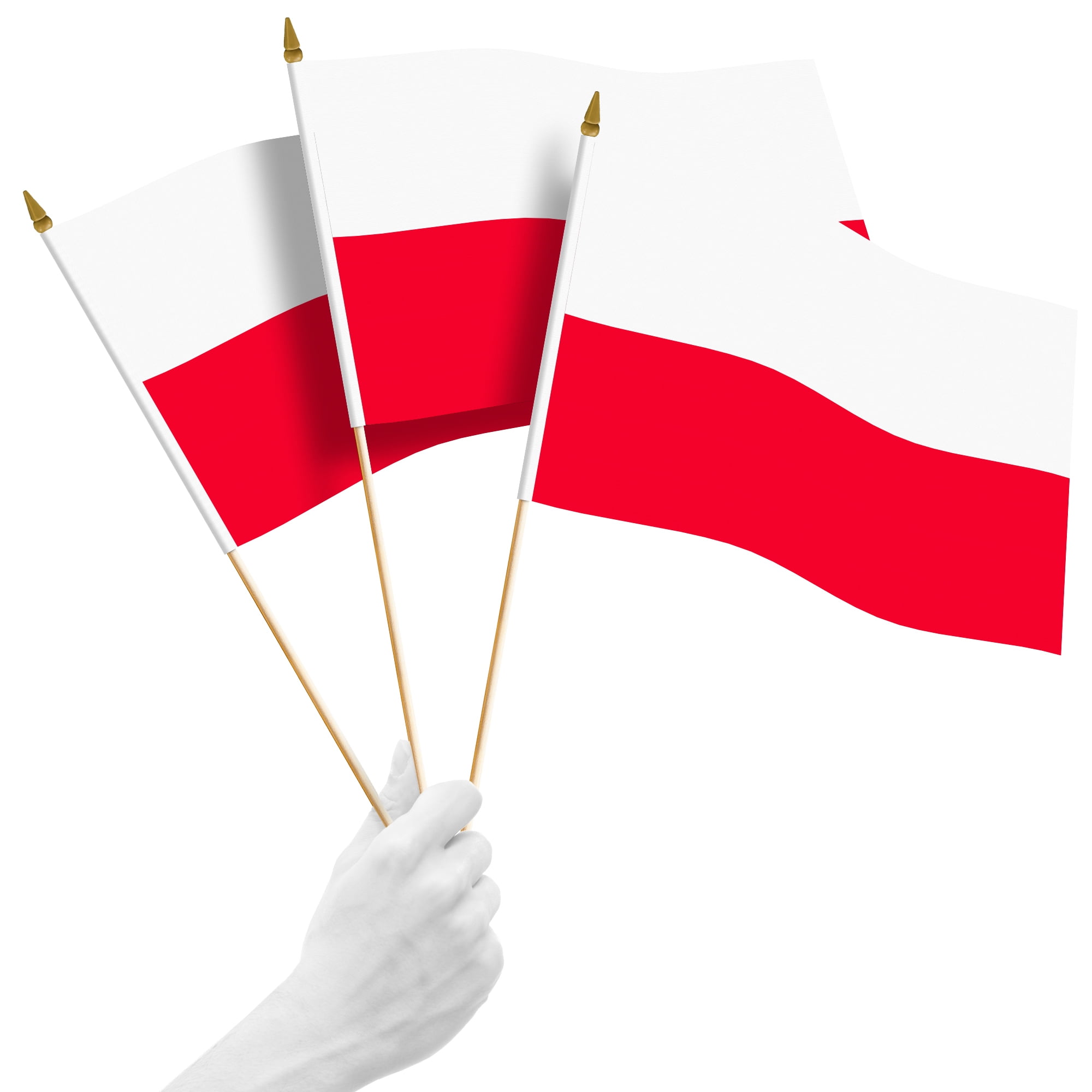 G128 50 Pack Handheld Poland Polish Stick Flags | 12x18 In | Printed ...