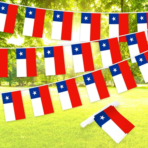 Chile Flagge