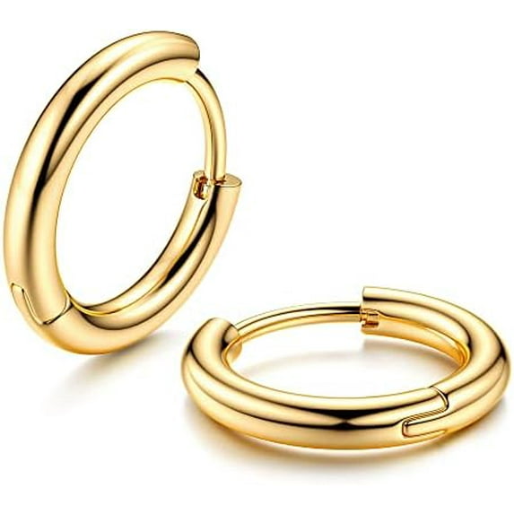 G23 Solid Titanium Hoop Earrings Implant Grade Hypollergenic Small ...