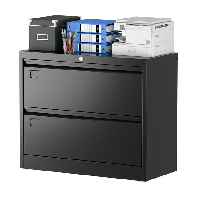 GAEANET 2-Drawer Lateral File Cabinet with Lock, Metal Filing Cabinet ...