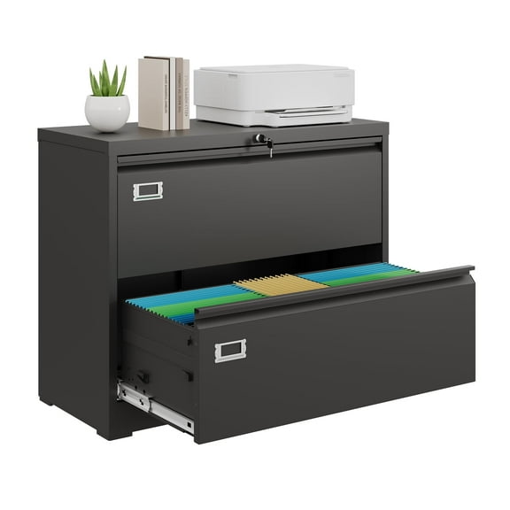Modern Wooden Lateral File Cabinet with 2 Drawers for Home Office ...