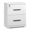 Gymax Mobile Storage Wood File Cabinet with Wheels, 2 Large Drawers & 4 ...