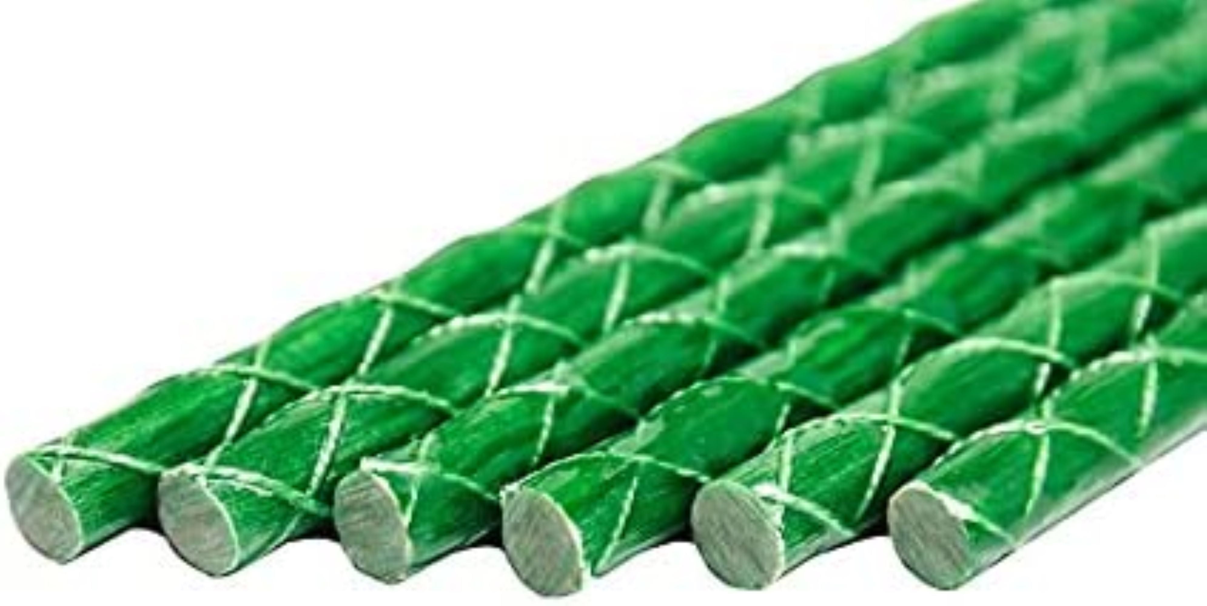 GALEN PANAMERICA Eco-Friendly 4-FT Fiberglass Garden Stakes, Tomato Stakes, Plant Stakes (Pack ...